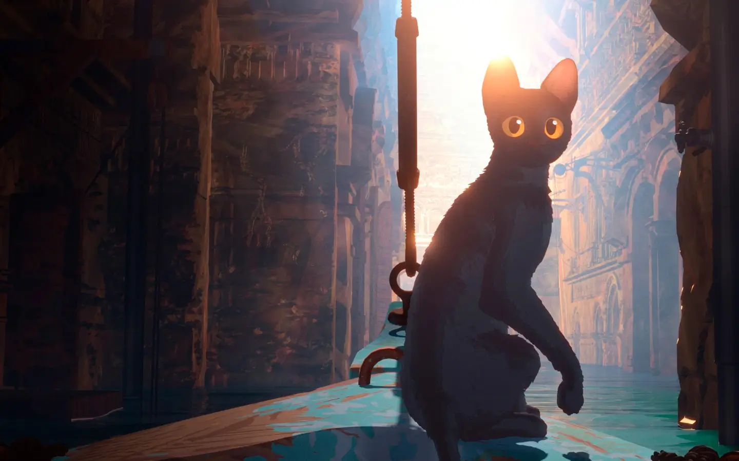 'Flow' and more cat movies to watch online - List | Filmelier