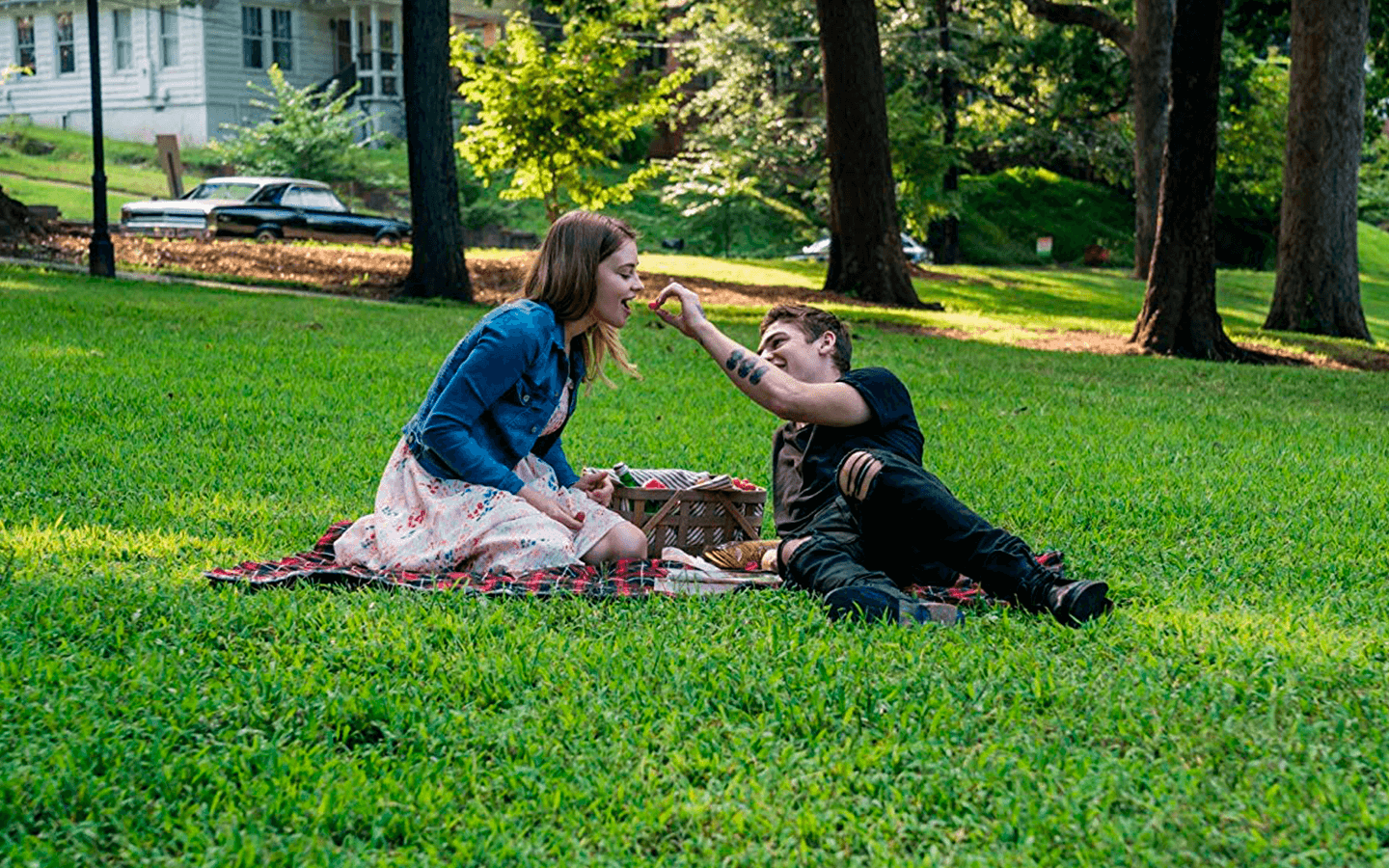 Onde Assistir A Todos Os Filmes De After Filmelier