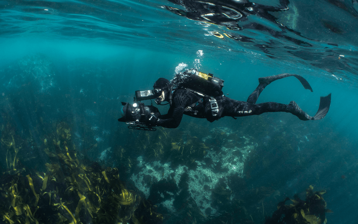 The Best Documentaries to Watch on Netflix - List | Filmelier