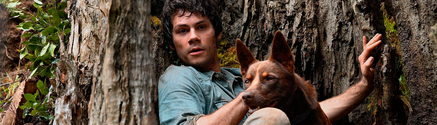 'Amor e Monstros', 'Alma de Cowboy', 'Shrek' e muitos mais na Netflix ...