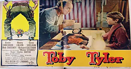 Toby Tyler or Ten Weeks with a Circus - Movie 1960 | Filmelier
