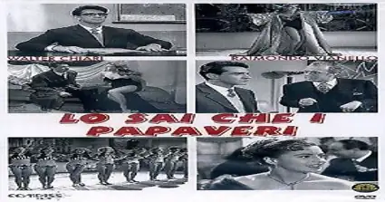 Poppy - Movie 1952 - Dir. Marcello Marchesi | Filmelier