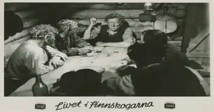 Life in the Finn Woods - Movie 1947 | Filmelier