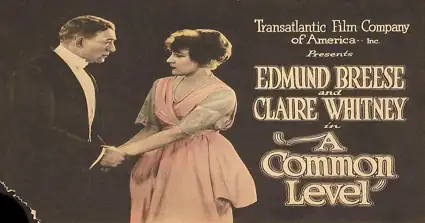 A Common Level - Movie 1920 | Filmelier