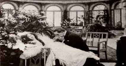 A Modern Salome - Movie 1920 | Filmelier