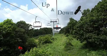 Ver u var - Filme 2012 - Dir. Rusanna Danielian | Filmelier