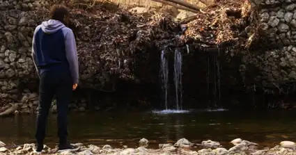 Filmes de Xander Haan | Filmelier