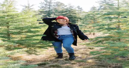 A Match Made at Christmas - Película 2021 - Dir. Annie Poling Swet ...