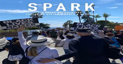 Spark: A Systemic Racism Story - Movie 2020 - Dir. Tom Gegax | Filmelier