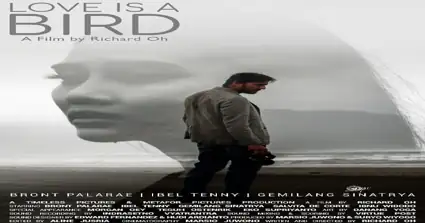 Películas de Richard Oh | Filmelier