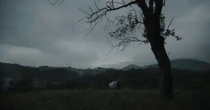 Maja Novakovic movies | Filmelier