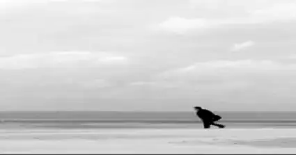 Jonathan Hall movies | Filmelier