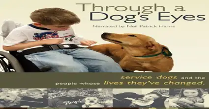 Through a Dog's Eyes - Movie 2010 - Dir. Peter Schnall | Filmelier