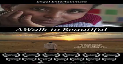 A Walk to Beautiful - Movie 2007 | Filmelier