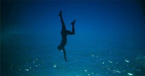 The Dive - Movie 2023 - Dir. Maximilian Erlenwein | Filmelier