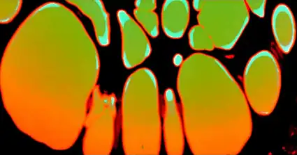 Nostalgic Filmatorium Part I: The Primordial Incarnations - Movie 2010 ...