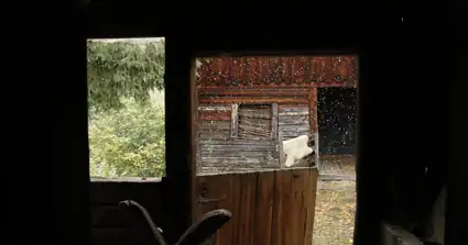 O Relógio do Meu Avô - Movie 2013 - Dir. Alex Levy-Heller | Filmelier