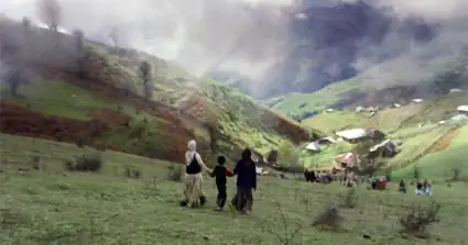 Mohammad Ali Talebi movies | Filmelier