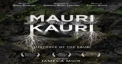 Mauri o te Kauri - Movie 2019 | Filmelier
