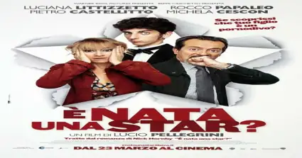 È nata una star? - Movie 2012 | Filmelier