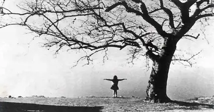 A Ay - Movie 1988 - Dir. Reha Erdem | Filmelier