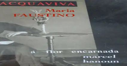 A Flor Encarnada - Movie 1994 | Filmelier