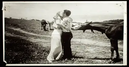 A Transa do Turfe - Movie 1975 - Dir. Lucien Mellinger | Filmelier