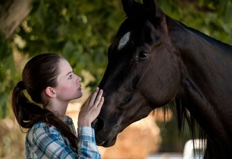 Black Beauty - Movie 2020 - Dir. Ashley Avis | Filmelier