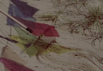 A Month of Single Frames - Movie 2020 - Dir. Lynne Sachs | Filmelier